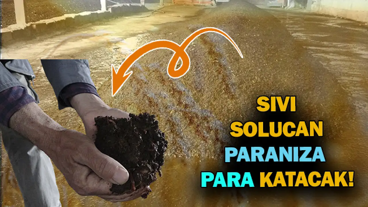 Sıvı solucan paranıza para katacak!