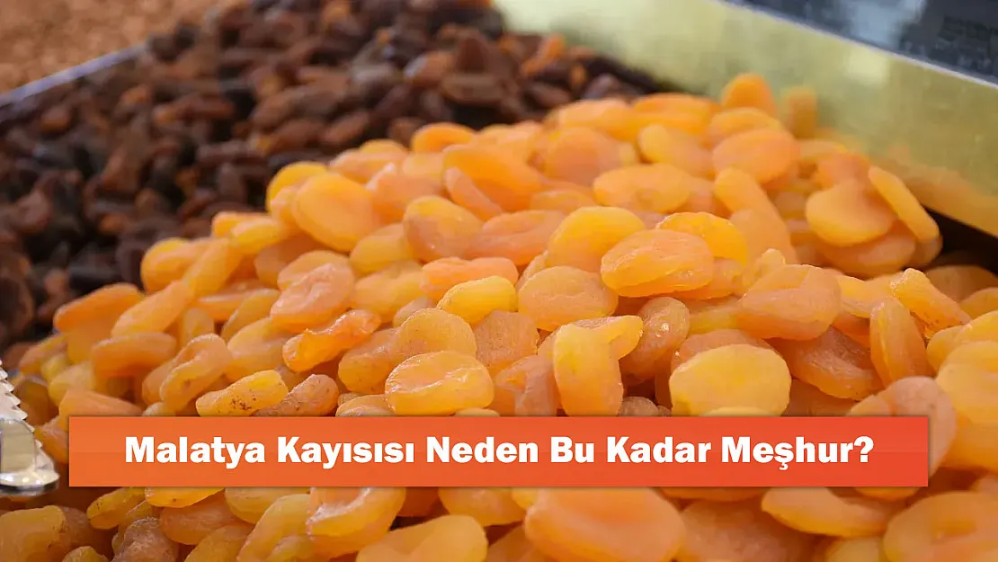 Malatya Kayısısı Neden Bu Kadar Meşhur?